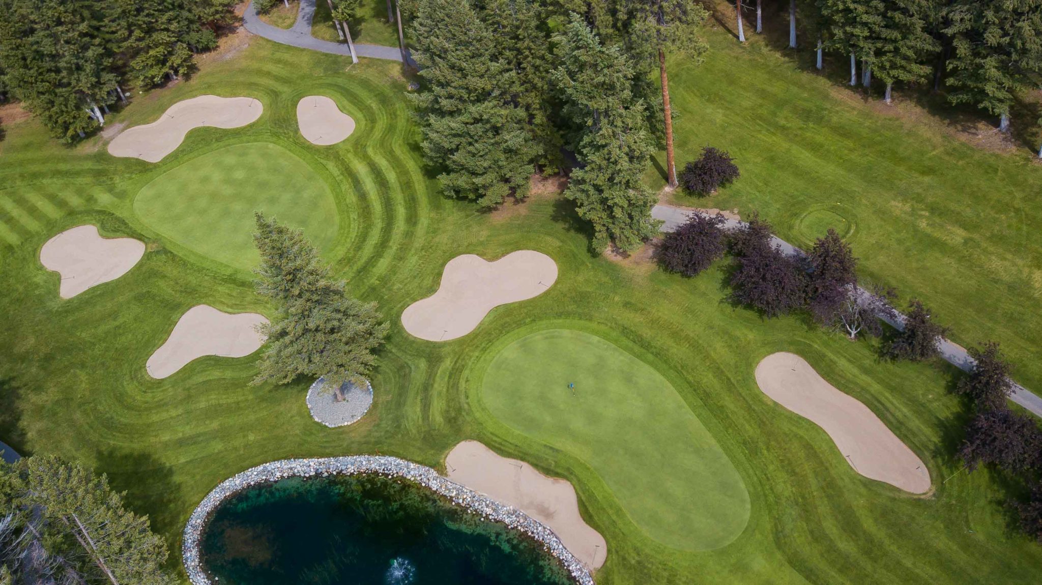 Gallery | Cranbrook Golf Club